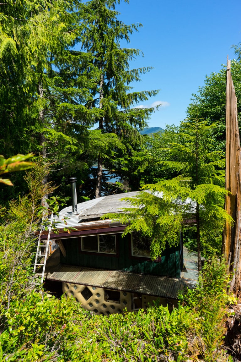 Maison COB (en bauge) : elle construit la maison écoresponsable de ses ...