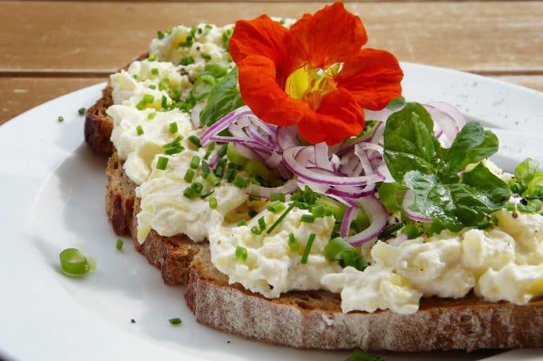 21 fleurs comestibles du jardin : liste de plantes à manger